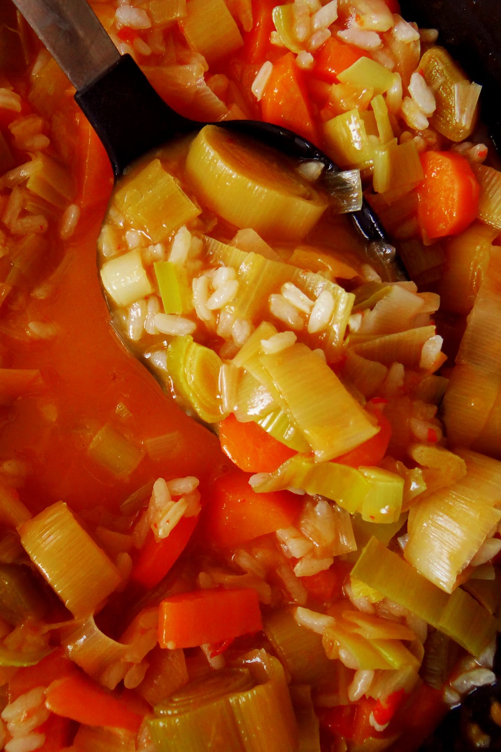 Braised leeks (Pırasa yemeği) - Picnic on a Broom